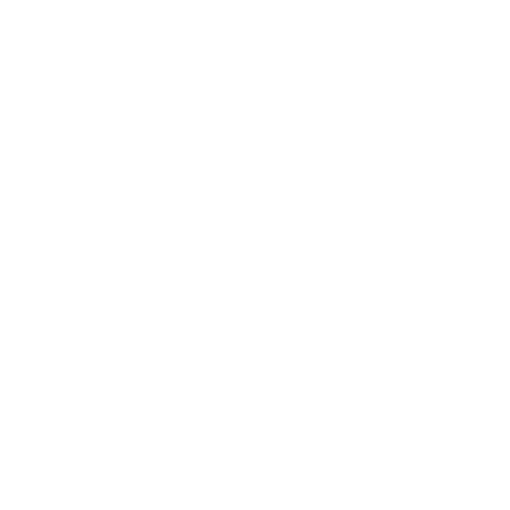 SPDC – Social Policy and Development Consulting